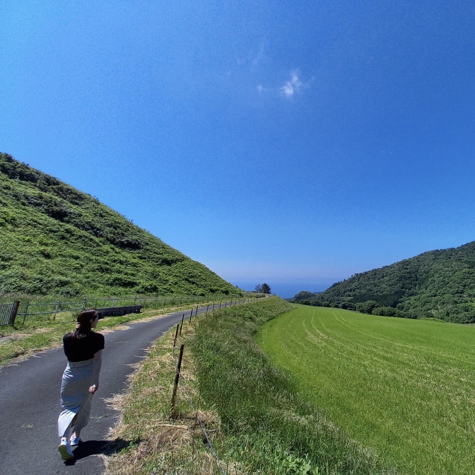 yonicon | ウィラコレ！